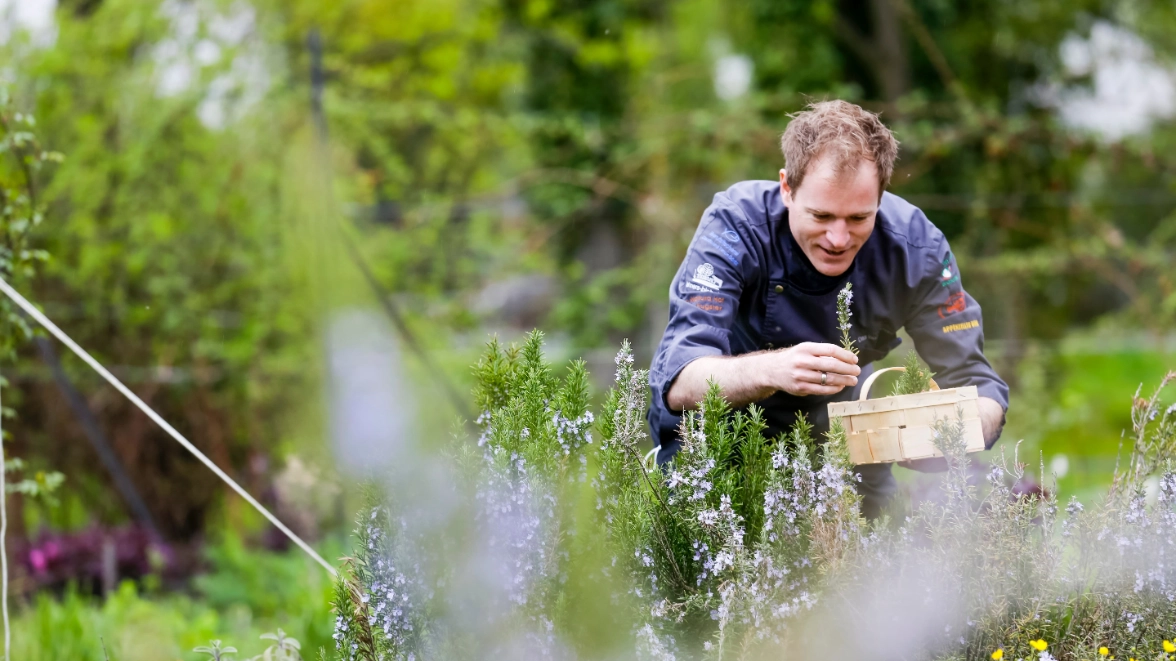 Warum Bio Cuisine für Sie sinnvoll ist